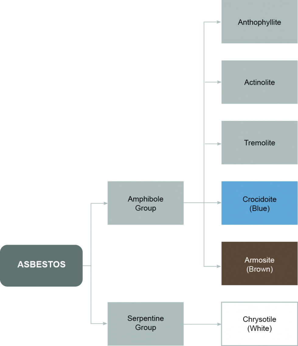 Salmac | Otago | Licenced Asbestos Removal & Management